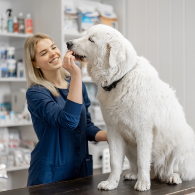 Our Resources - Safe Harbor Animal Clinic