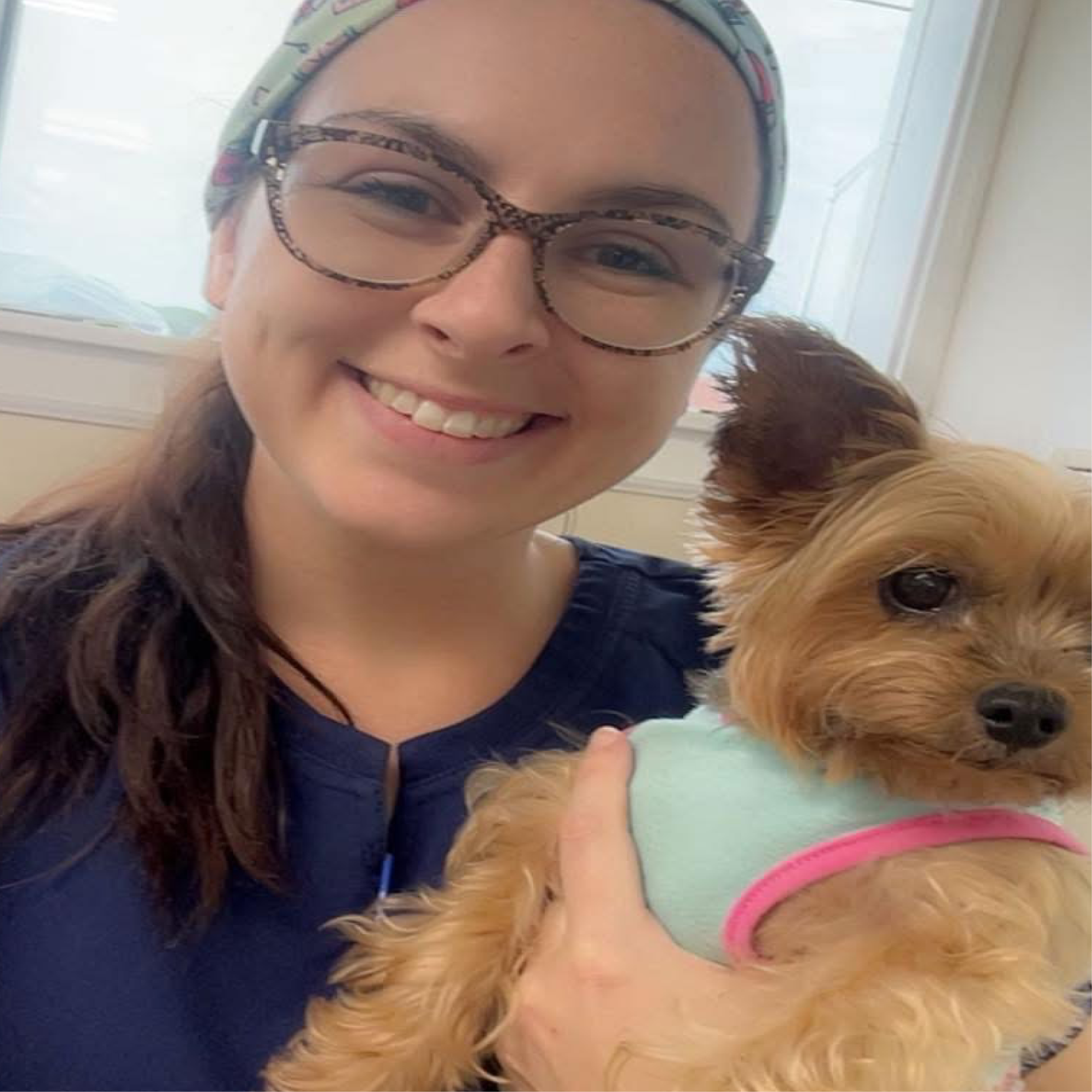 About Us - Safe Harbor Animal Clinic