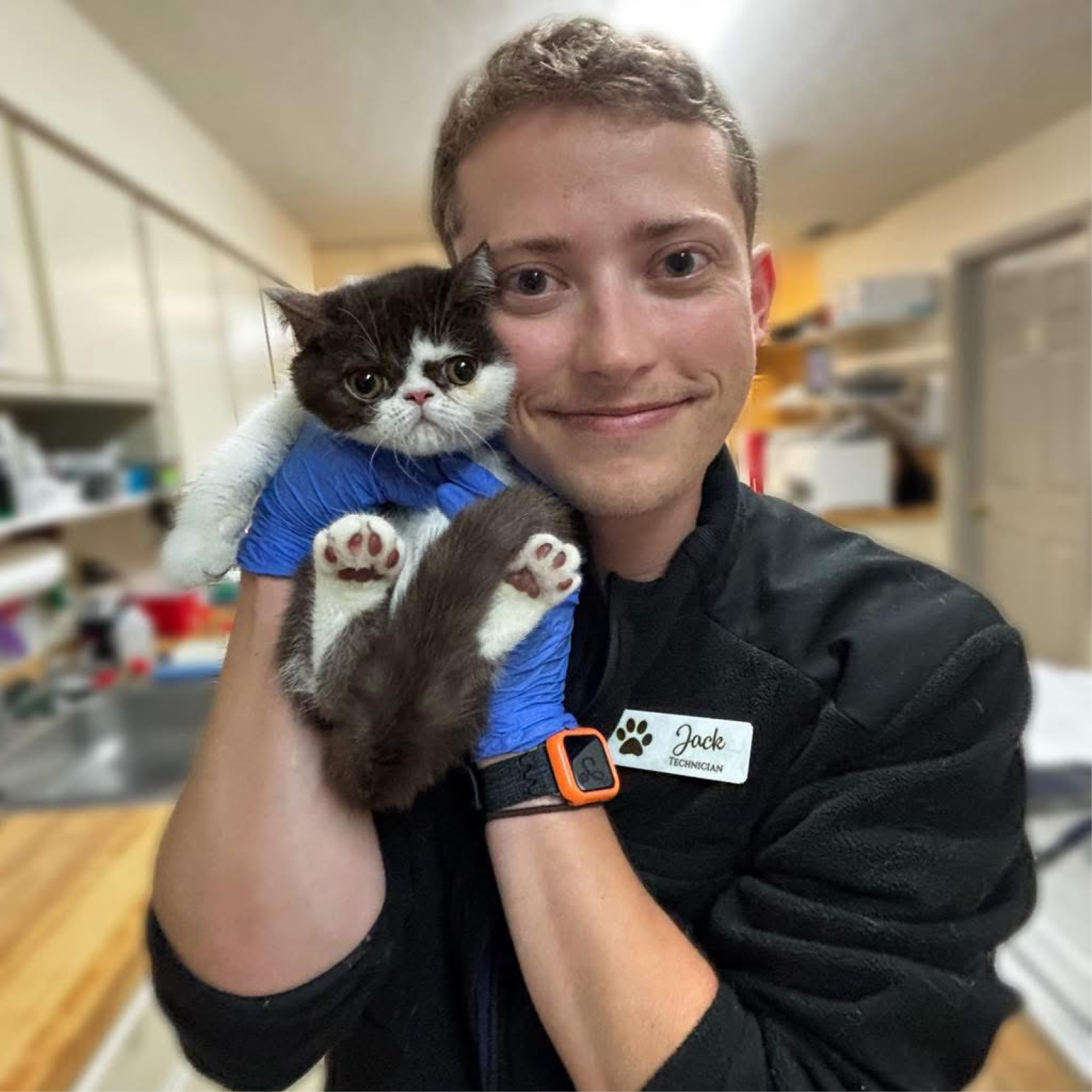About Us - Safe Harbor Animal Clinic